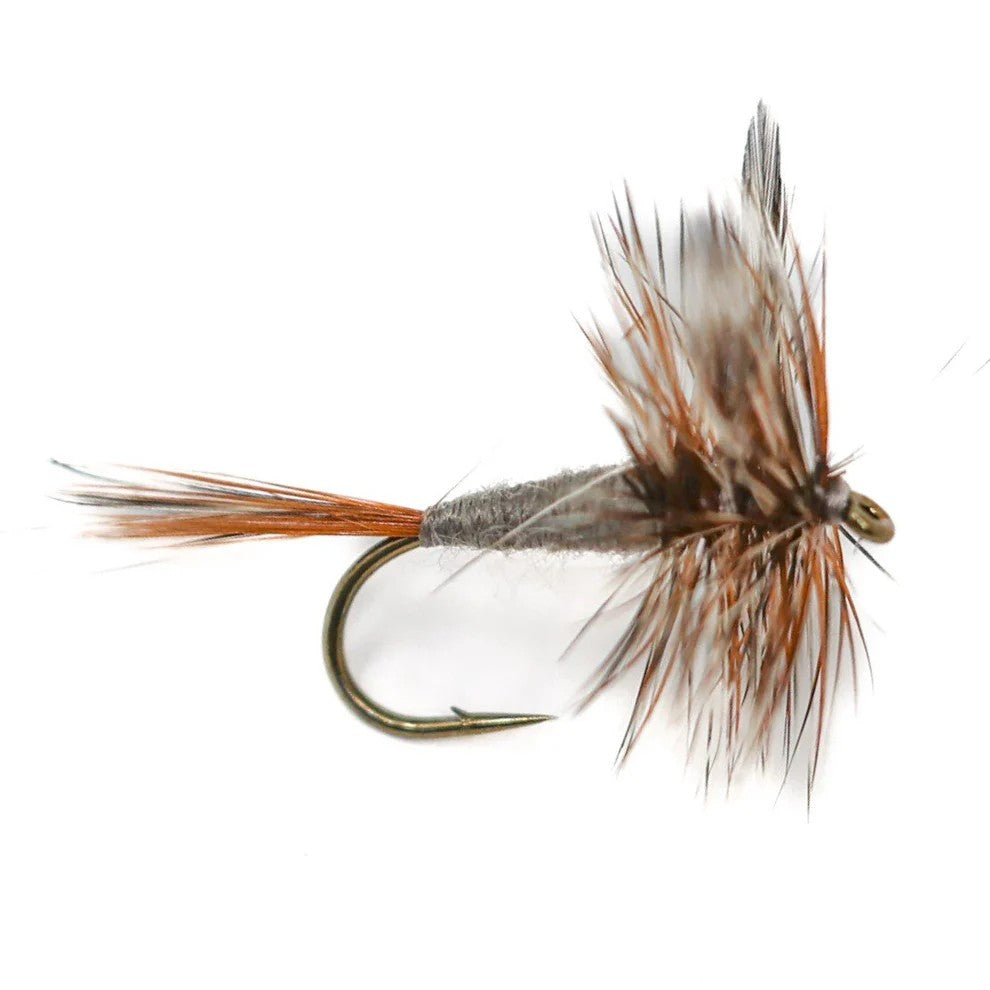 Blue Winged Adams – Lightweight Fly Shop